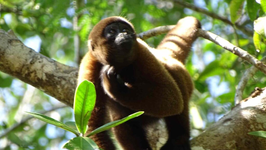 Experience Ecuador Tour | Latin Trails | Galapagos Cruises and Tours