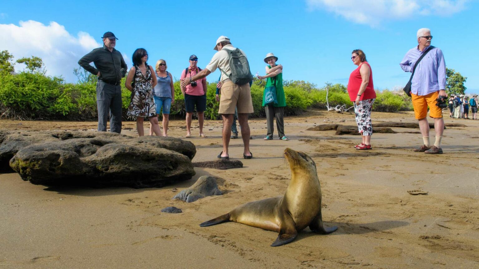 Group Programs | Latin Trails