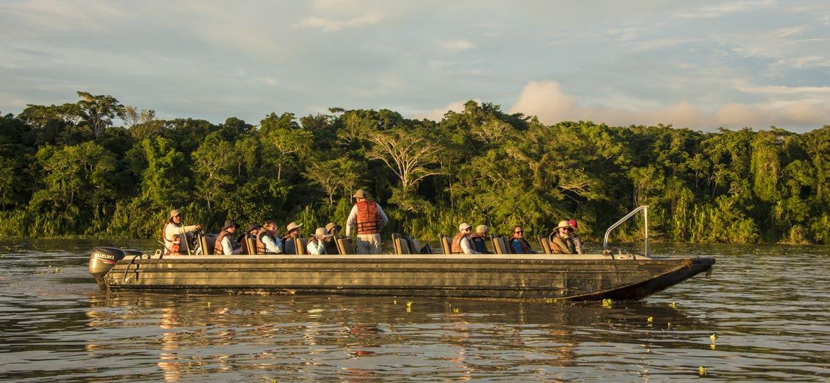 4-Day High River Expedition | Zafiro Amazon River Cruise